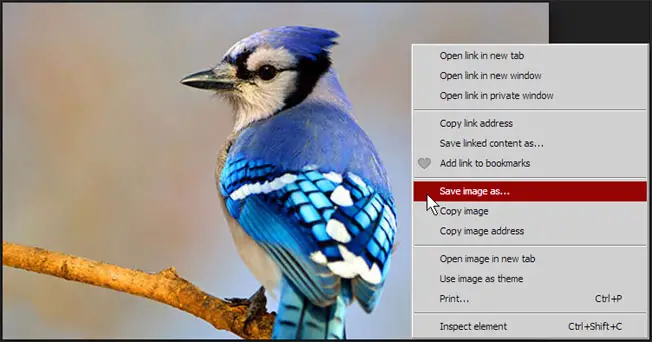 Learn The Way How To Copy A Screenshot Techyv learn-the-way-how-to-copy-a-screenshot-techyv